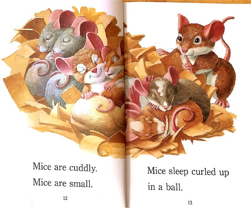 《Mice are Nice》儿童英语绘本在线阅读-绘本游历者